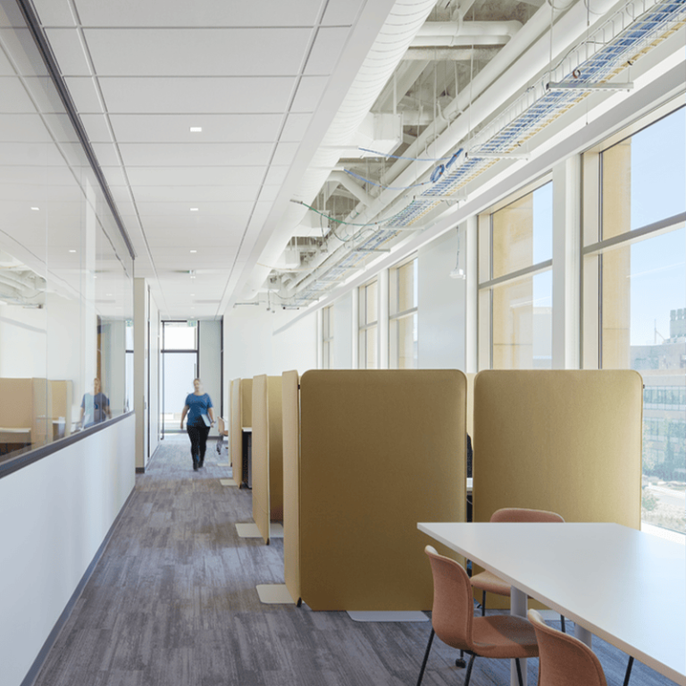 BuzziFree - Oxford House